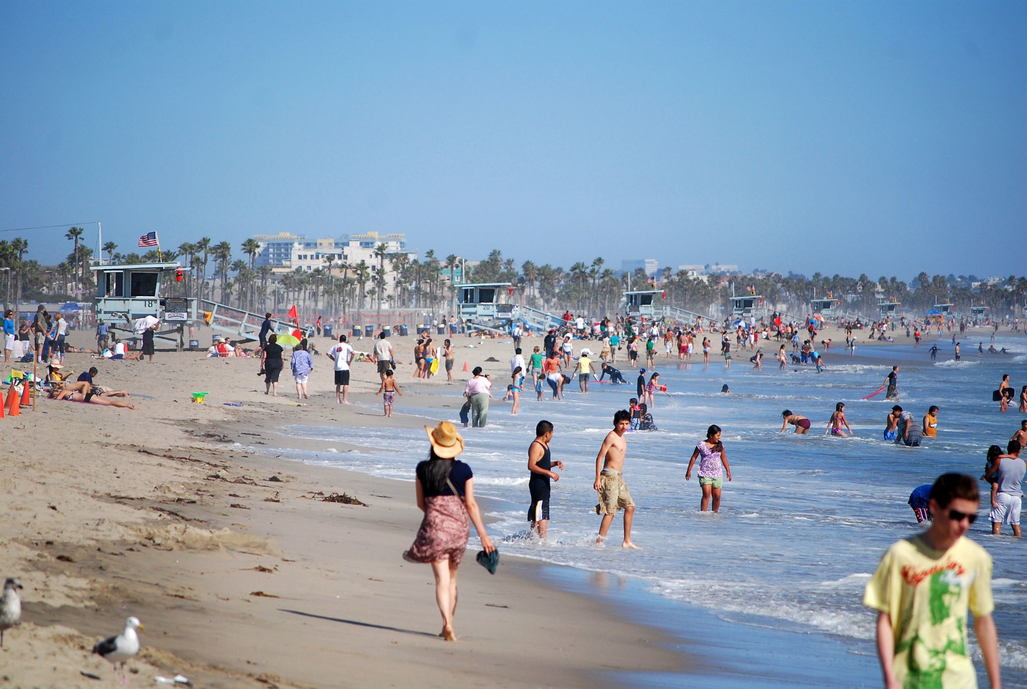 Unsafe Levels of Bacteria Found in Several LA County Beaches - 24/7 ...